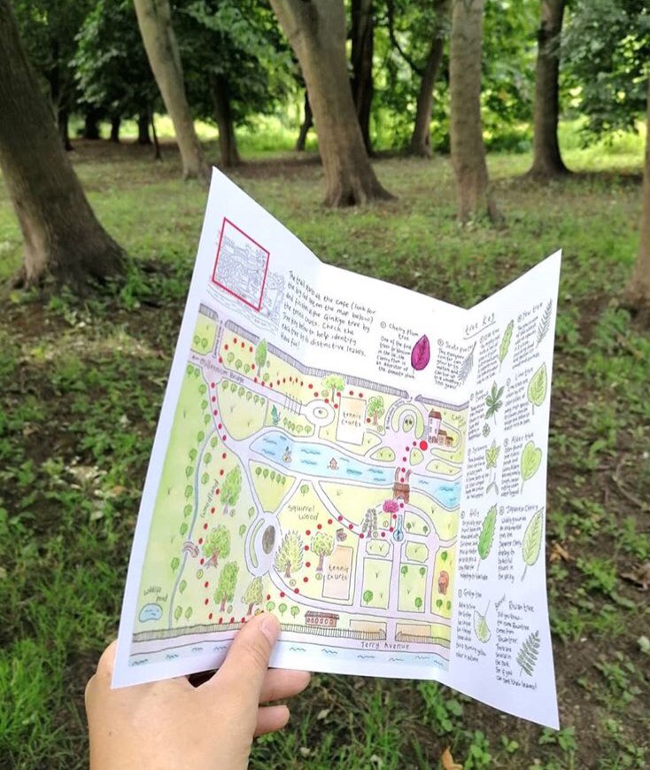 Rowntree Park Tree Trail