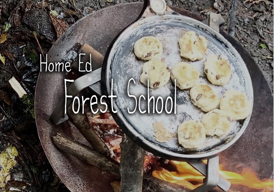 Home Education Sessions - Forest School - Friends of Rowntree Park